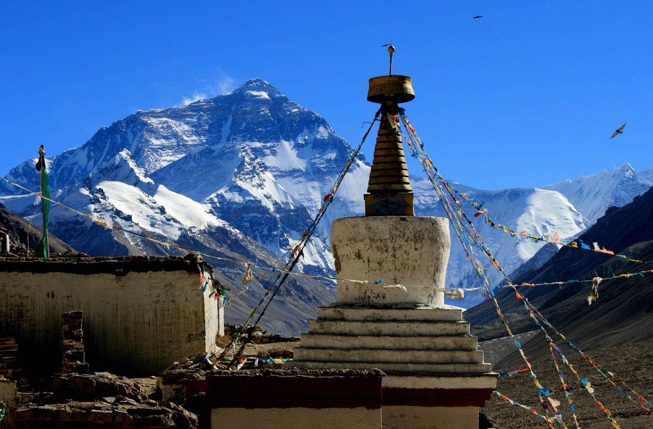 TIBET-CHIC: Energy Gift from the Snowy Sanctuary - tibet-chic
